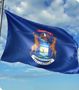 Michigan Debt Relief Programs